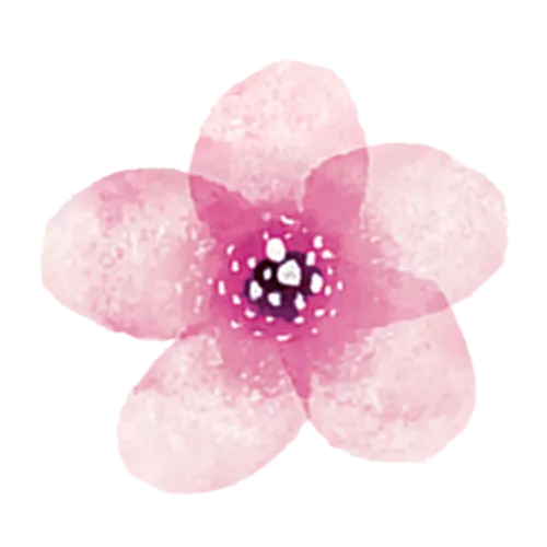 Royal Jasmine - LOVARÉ - Premium Tea Collection | LOVARÉ
